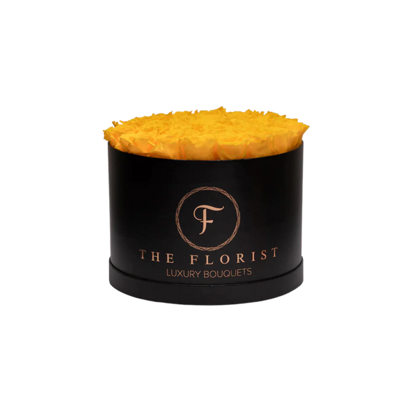 143_grande.png?v=1698520864