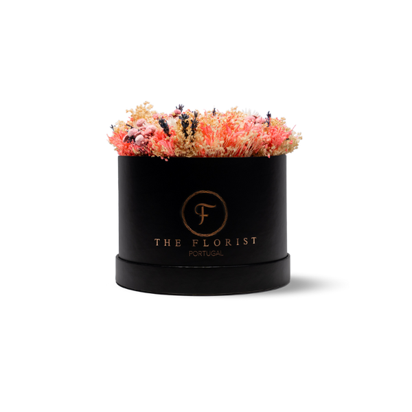 49_grande.png?v=1711973663