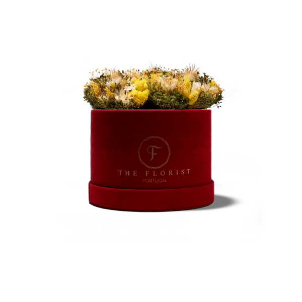 71_grande.png?v=1715338740